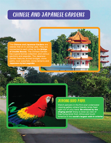 SINGAPORE for KIDS Adventure Book (includes 5-part story) - Case of ...