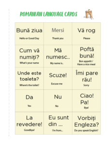 ROMANIA for KIDS: Novel PLUS Adventure Book - Case of Adventure